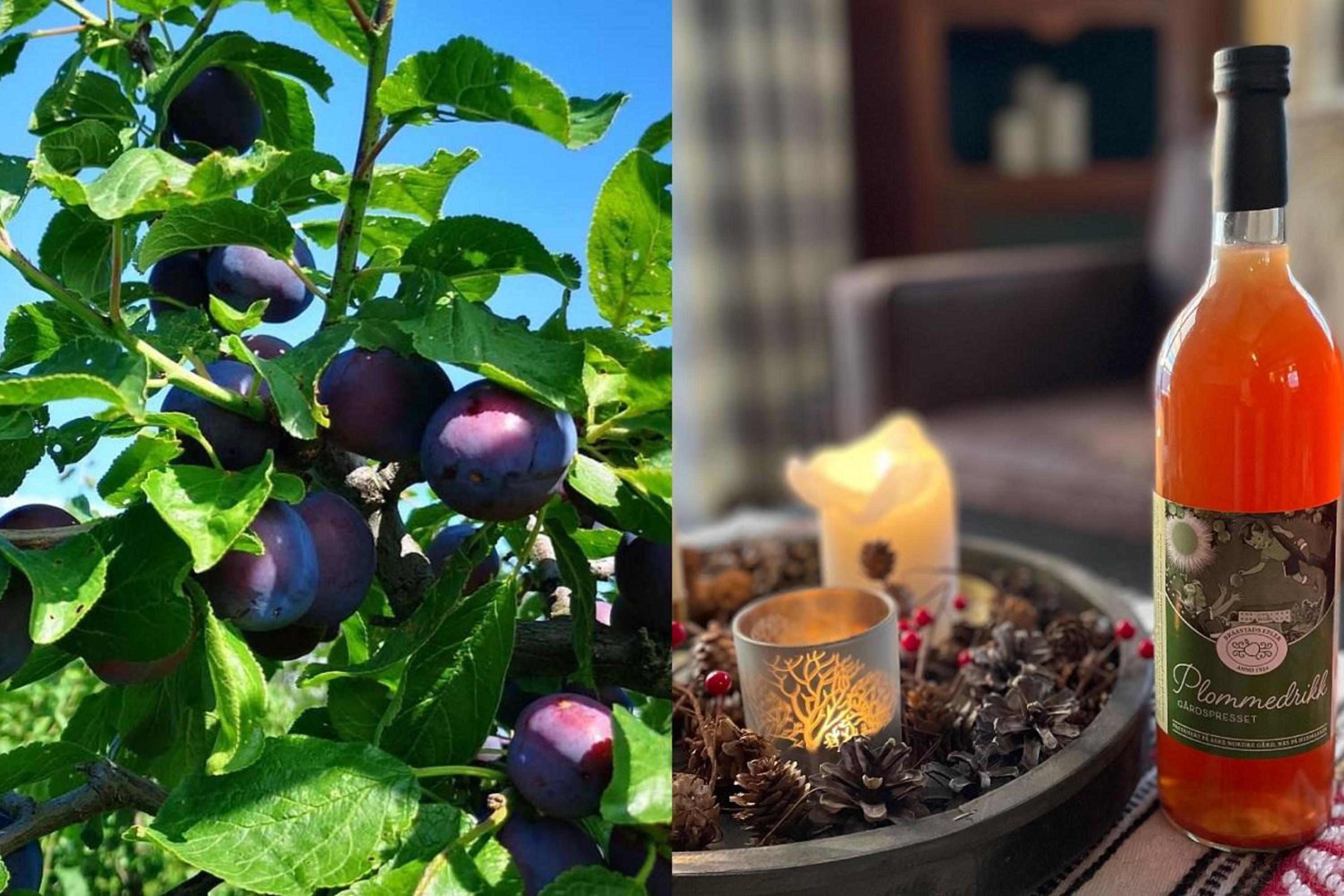 Braastad Epler - Sesongåpen Gardsbutikk - Visit Øst-Norge